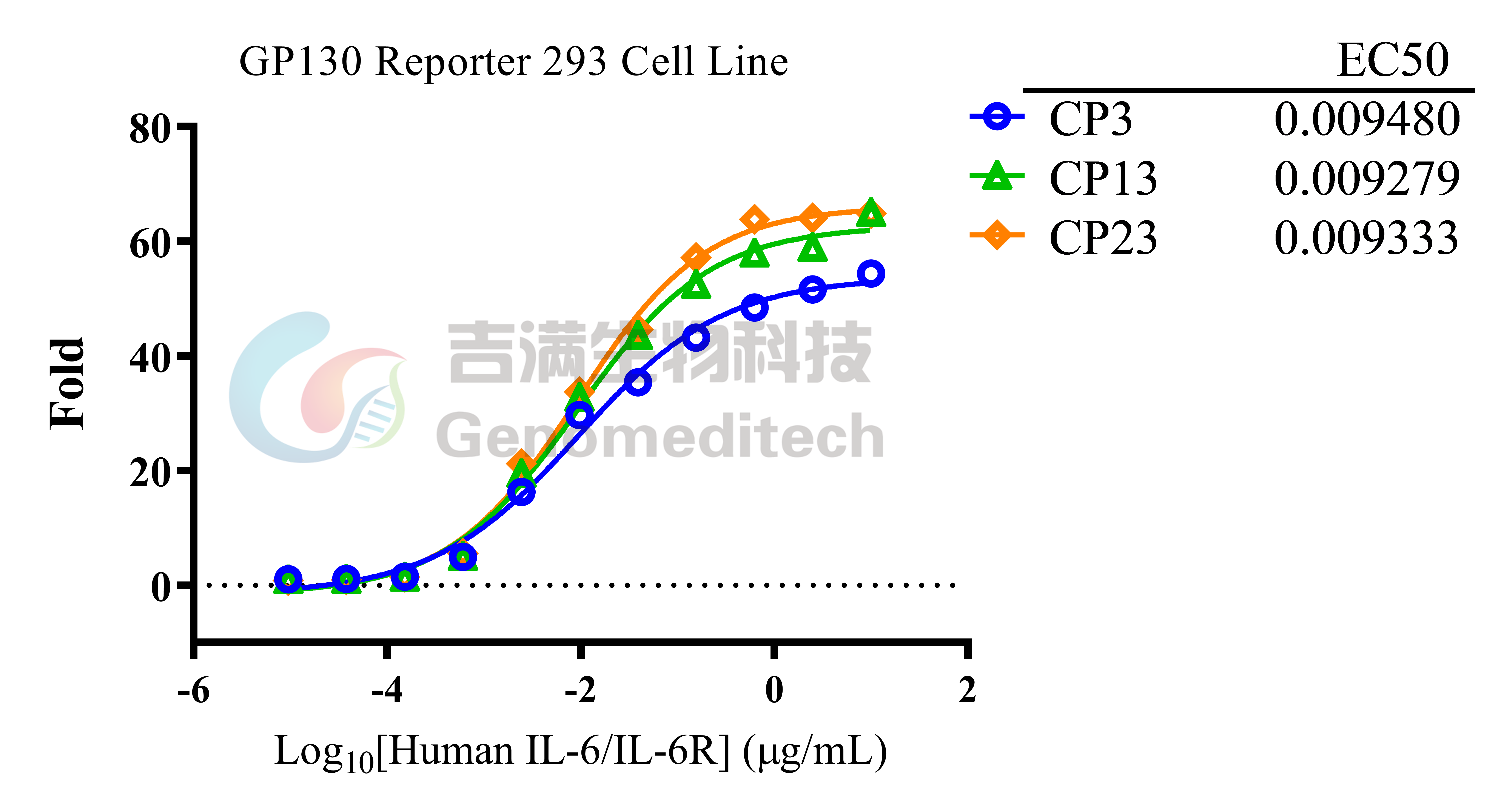 GP130 Reporter 293 Cell Line