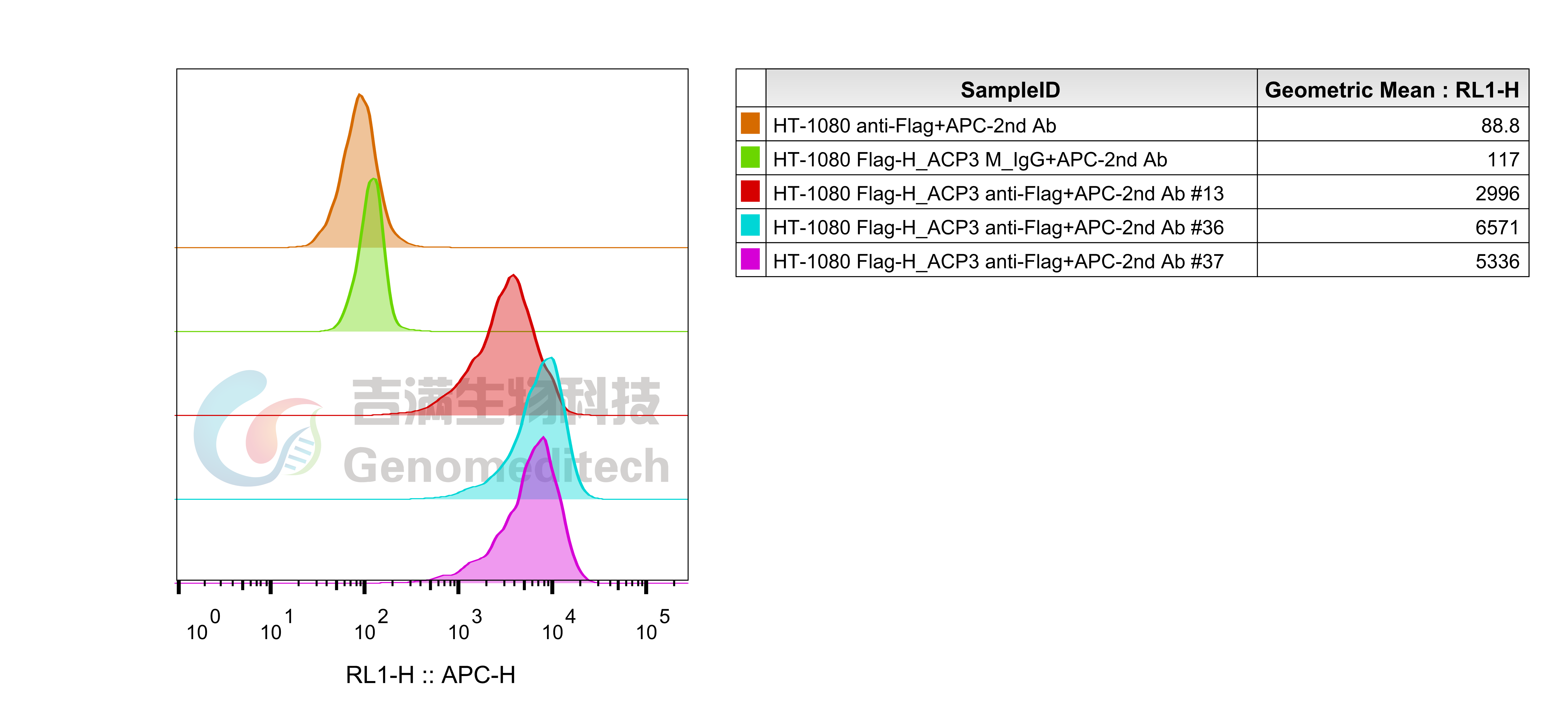 Flag-H_ACP3 HT-1080 Cell Line
